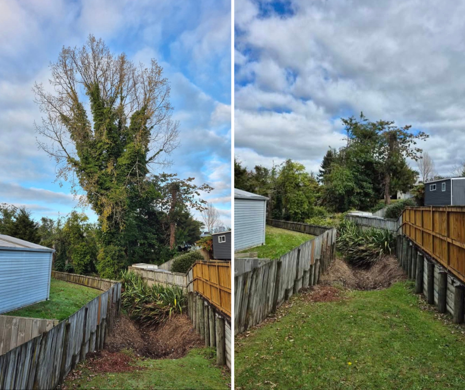 Tree Maintenance & Hedge Trimming | Quality Trees Rotorua