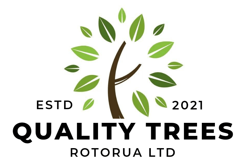 Trusted & Insured Tree Services | Quality Trees Rotorua