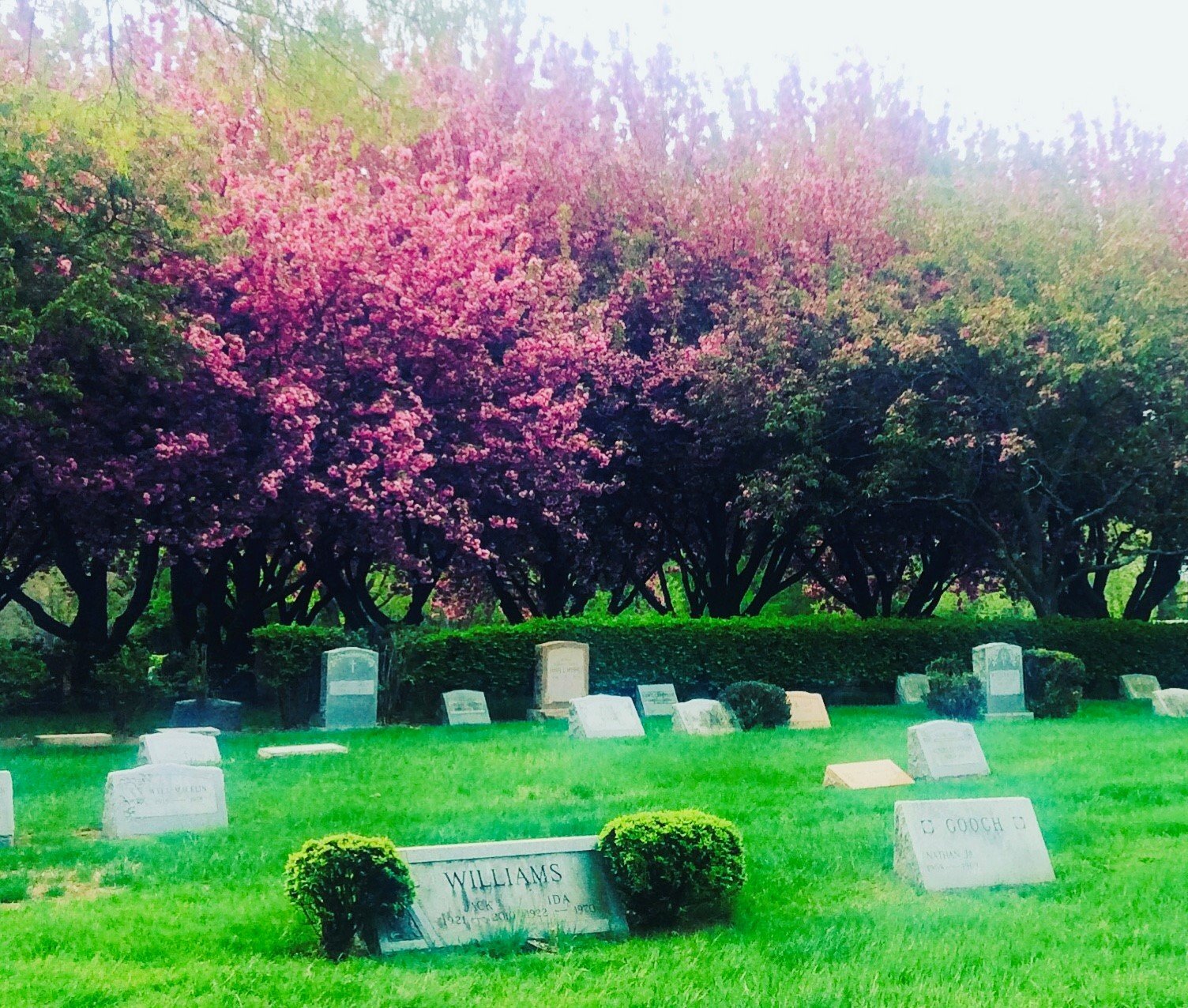 Fairview Cemetery - Grounds Tour