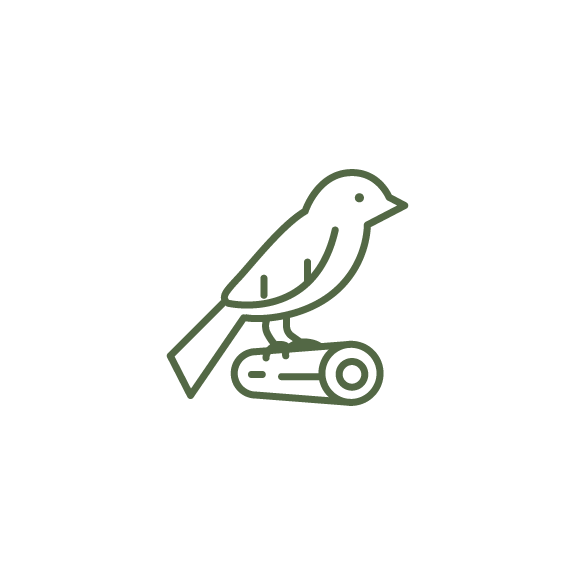 Timberline Glamping Orange Beach - Luxury Camping in Orange Beach, AL