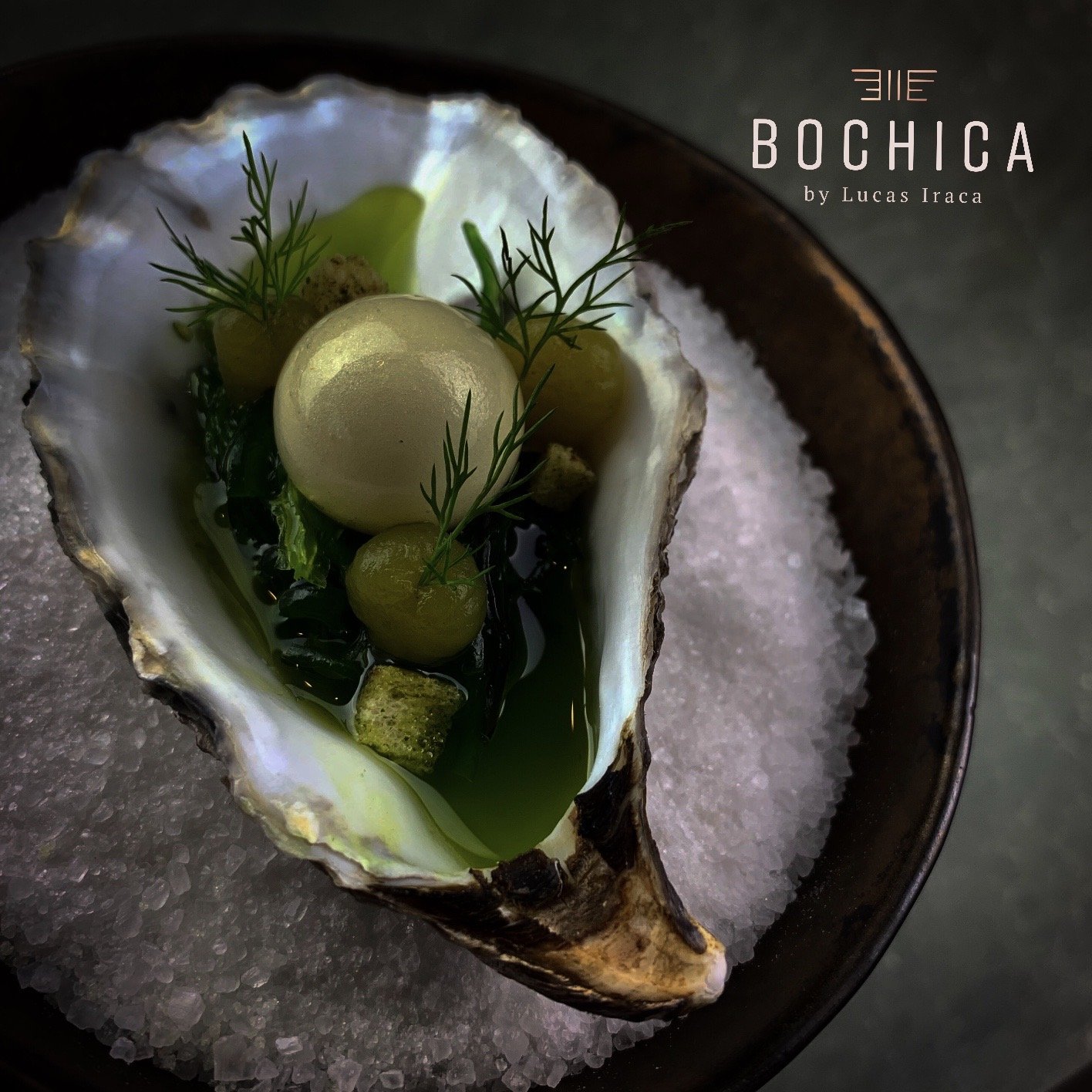 HOME [www.bochica.nl]