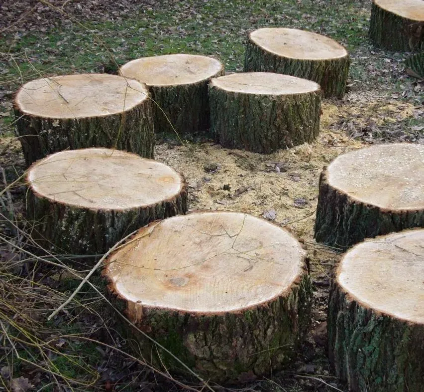 Stump Removal Houston TX | Nature’s Restore