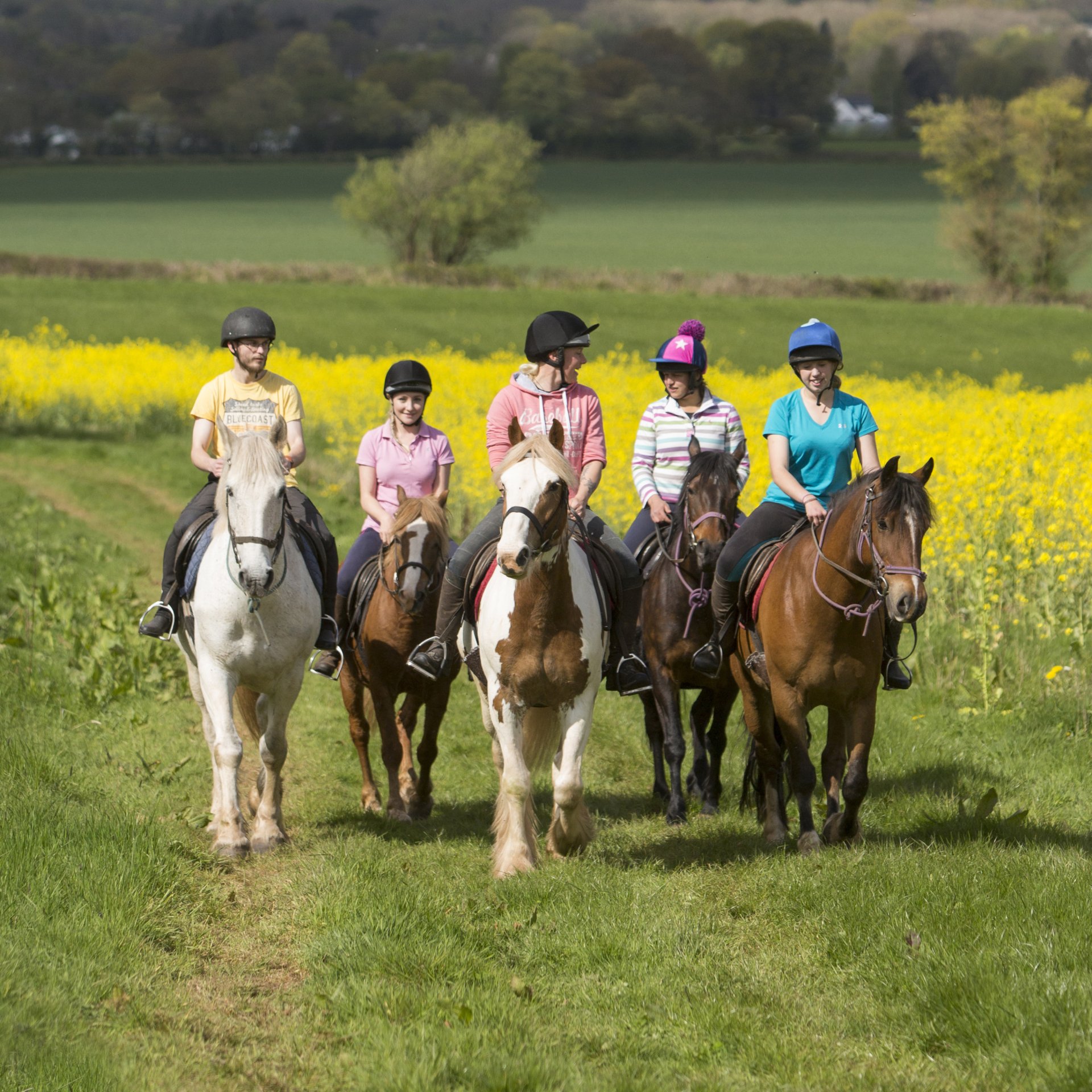 Welcome to the Brecon Beacons - what to do here...