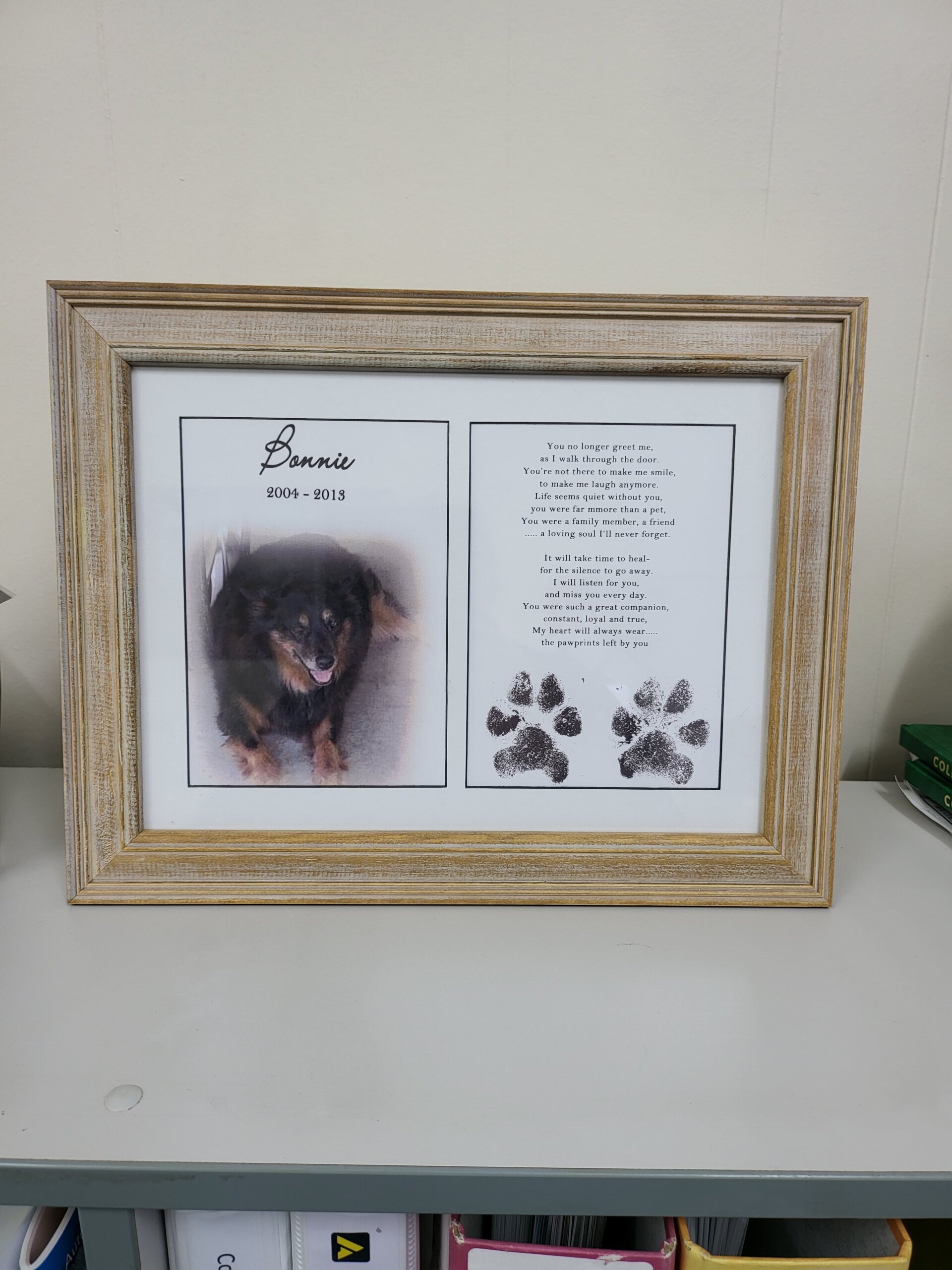 Paw Prints | Townsville | Pet Heaven NQ