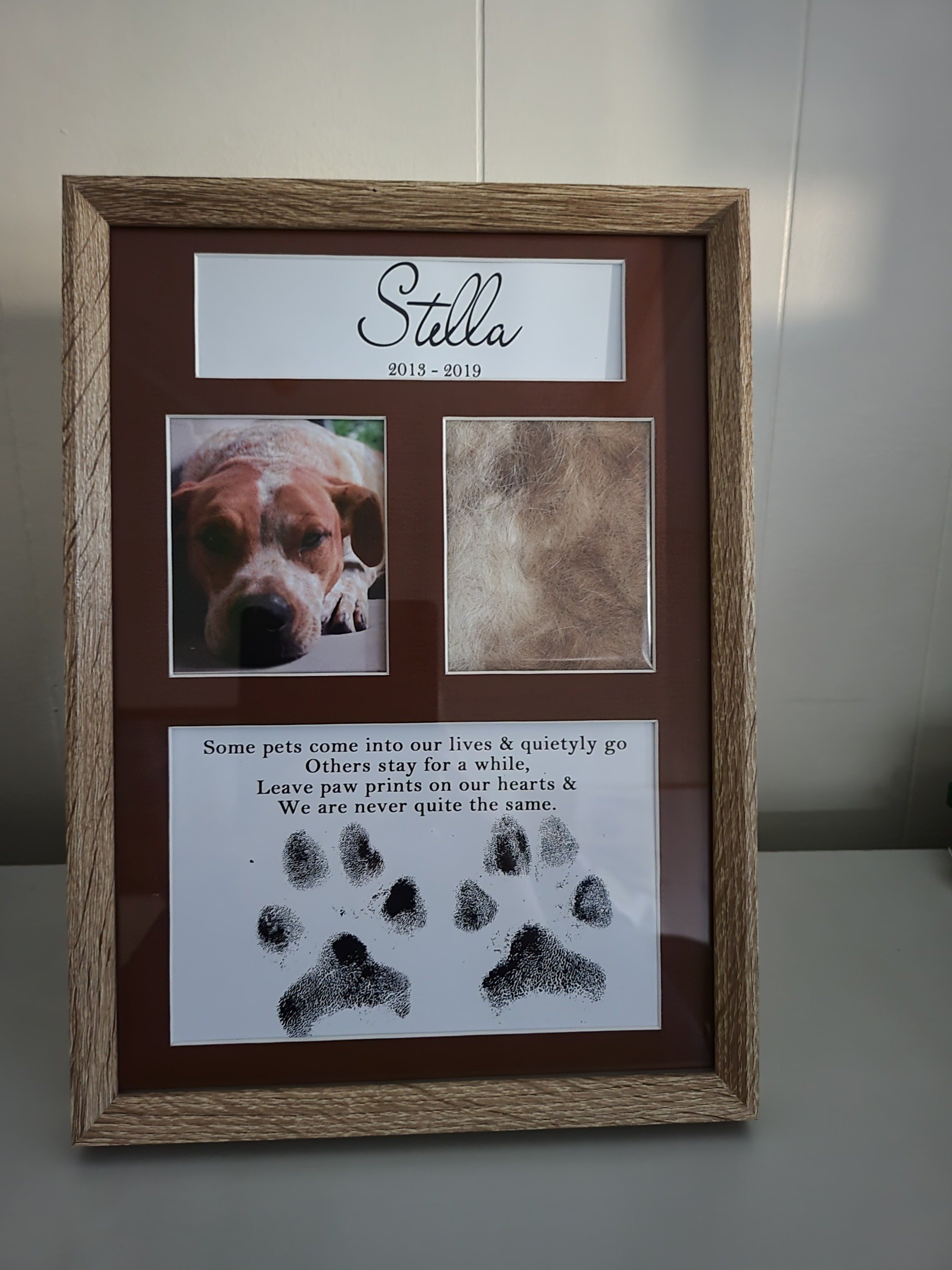 Paw Prints | Townsville | Pet Heaven NQ
