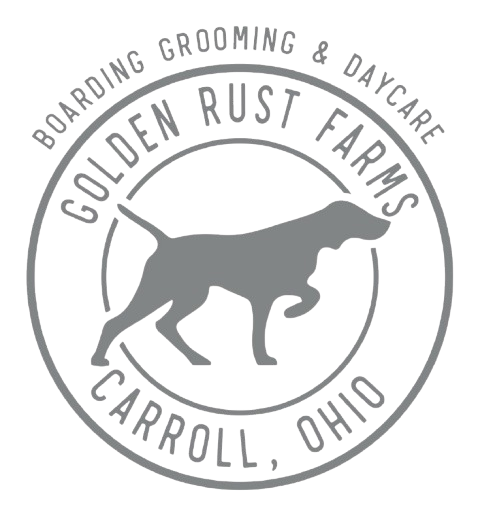 Dog Grooming Service, Dog Groomers | Golden Rust Farms Pet Resort ...