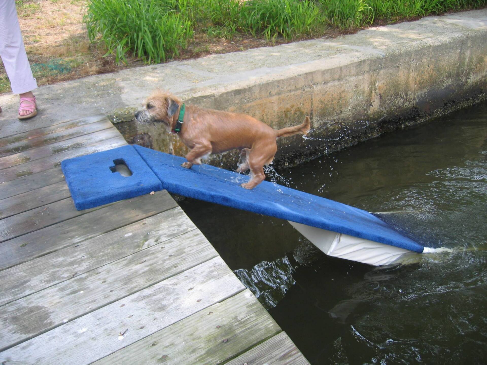 Floating Dog Ramps | United States | 844.781.7877