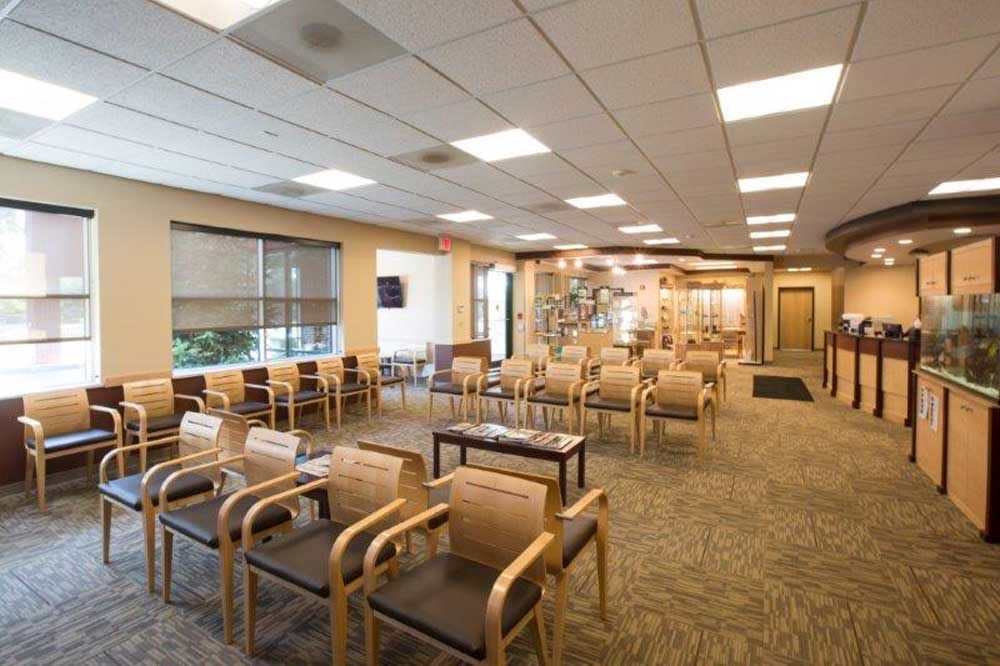 Photo Gallery | Ross Eye Institute | Western New York