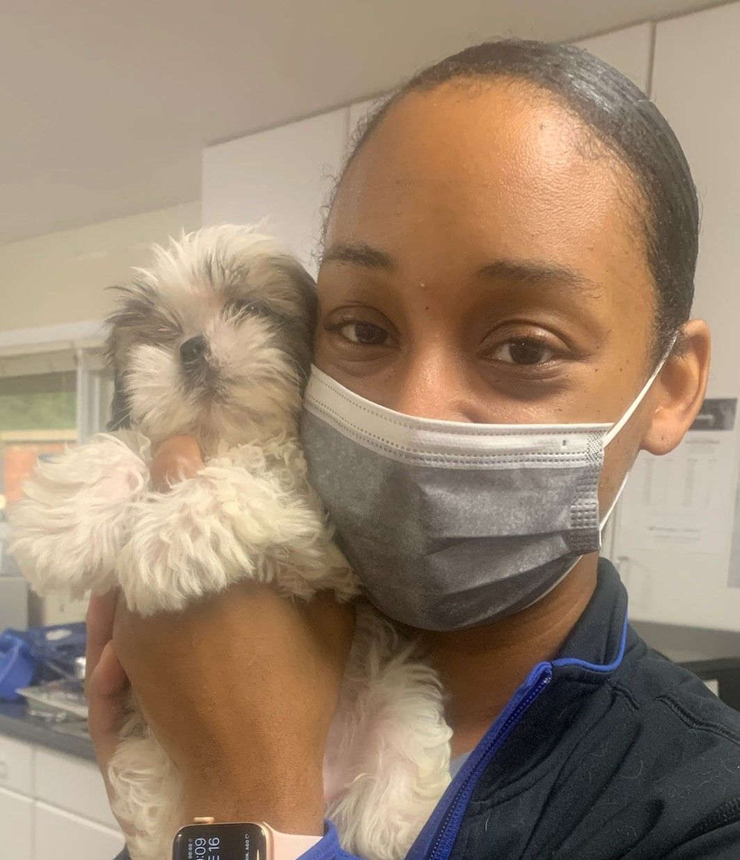 Noah's Ark Animal Hospital • Lexington, Kentucky