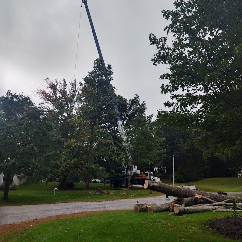 Crane Tree Work | Timber Falls Tree Care Service