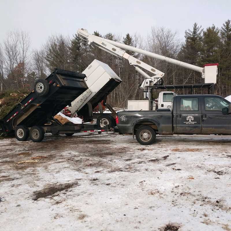 Tree Care Maine | Timber Falls Tree Care Service