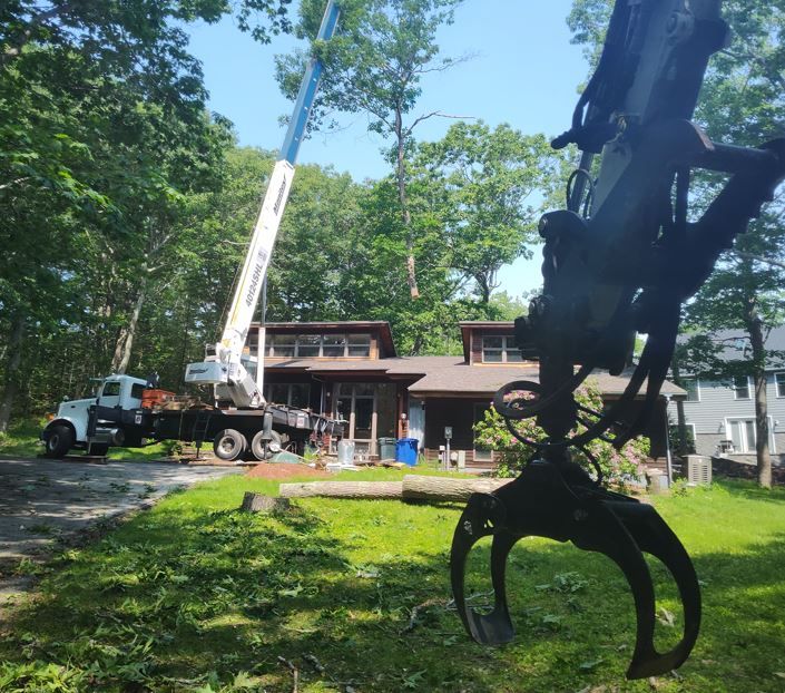 Timber Falls Tree Care Service | Tree Work, Arborist