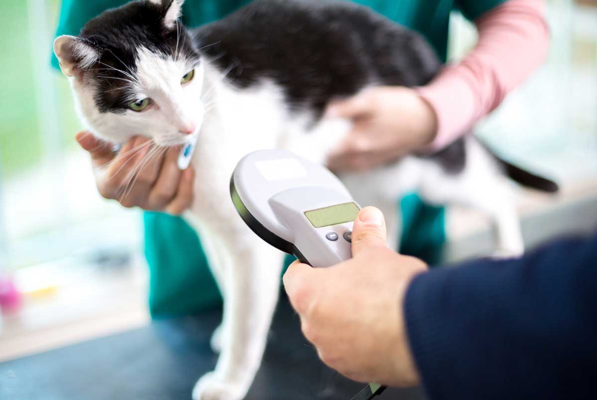 Finney County Humane Society | Animal Shelter | Garden City KS