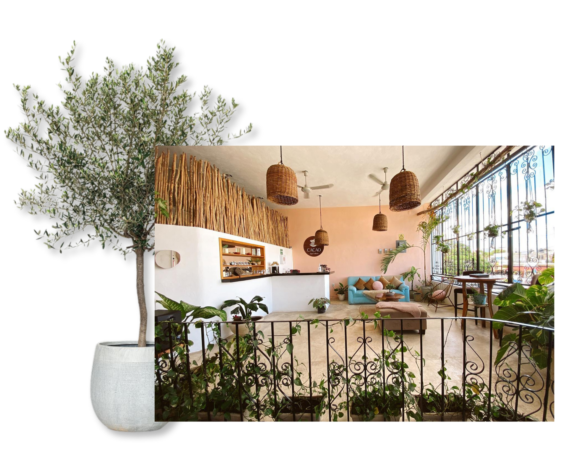 Home | Cacao Spa Tulum
