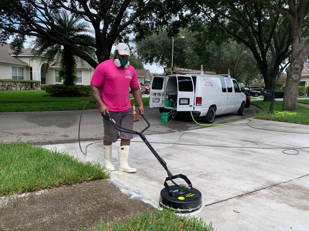 Contact for Pressure Washing Services | Tampa, FL | Pink Flamingo Power ...