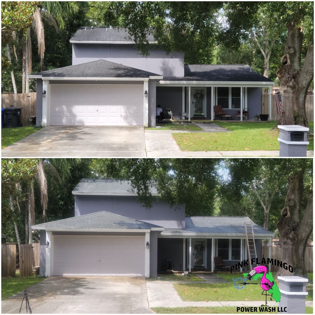Pressure Washing Tampa FL | Pink Flamingo Power Wash