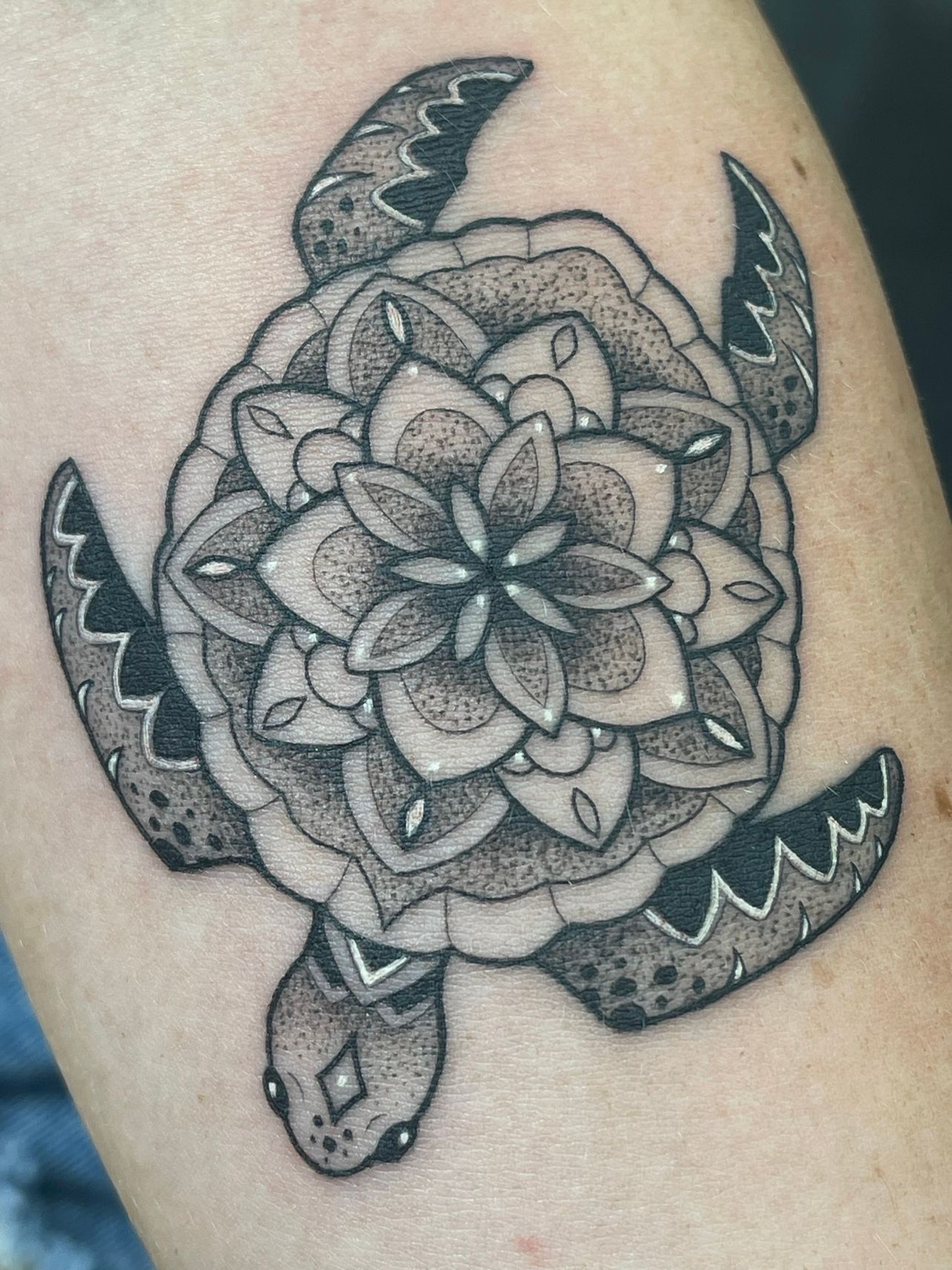 Artist Name | Cairns City Tattoo