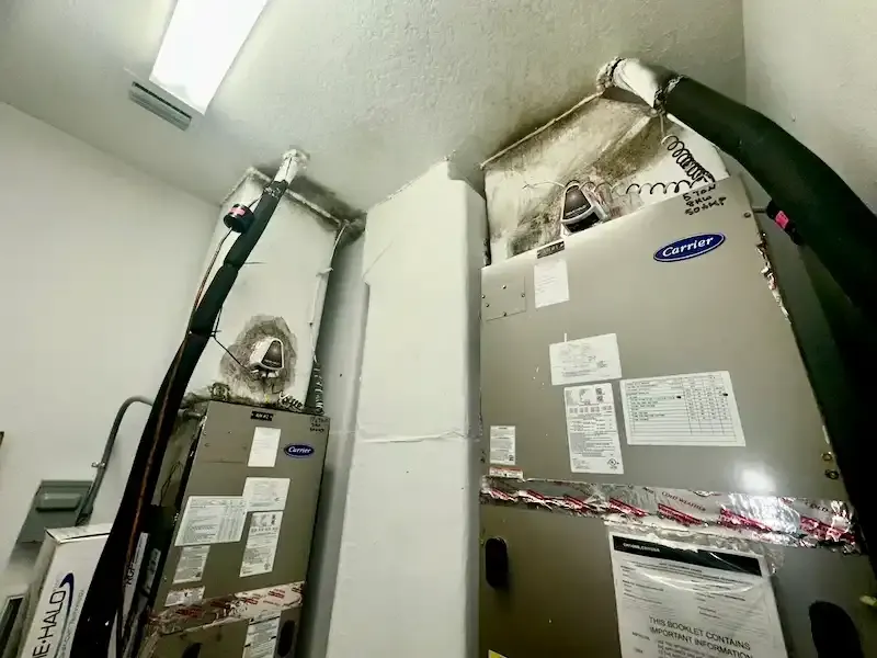 Mold Remediation: Why UV lights Don't Work