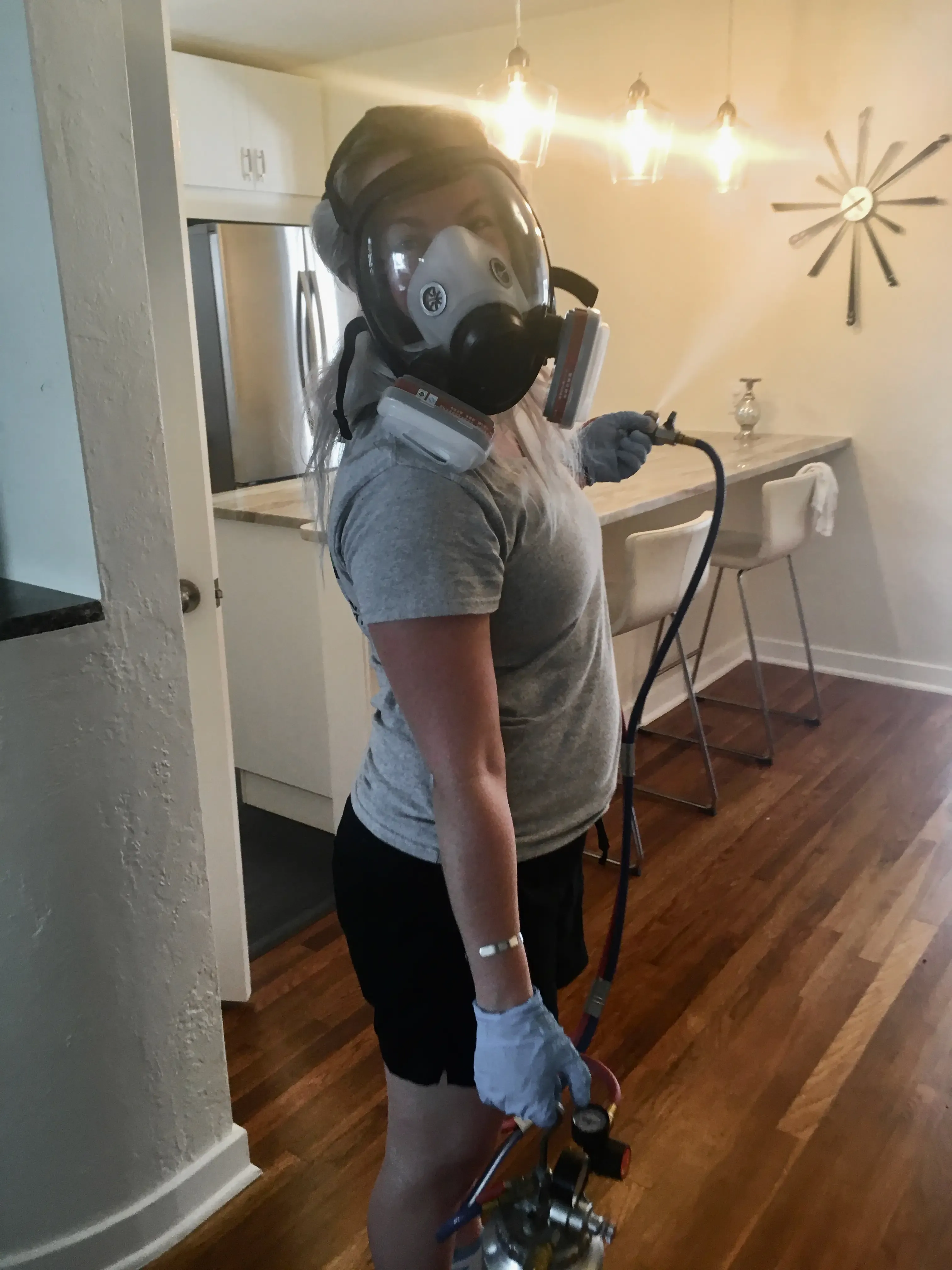 Professional Mold Removal | Dunedin, St. Augustine FL | Mold Masters