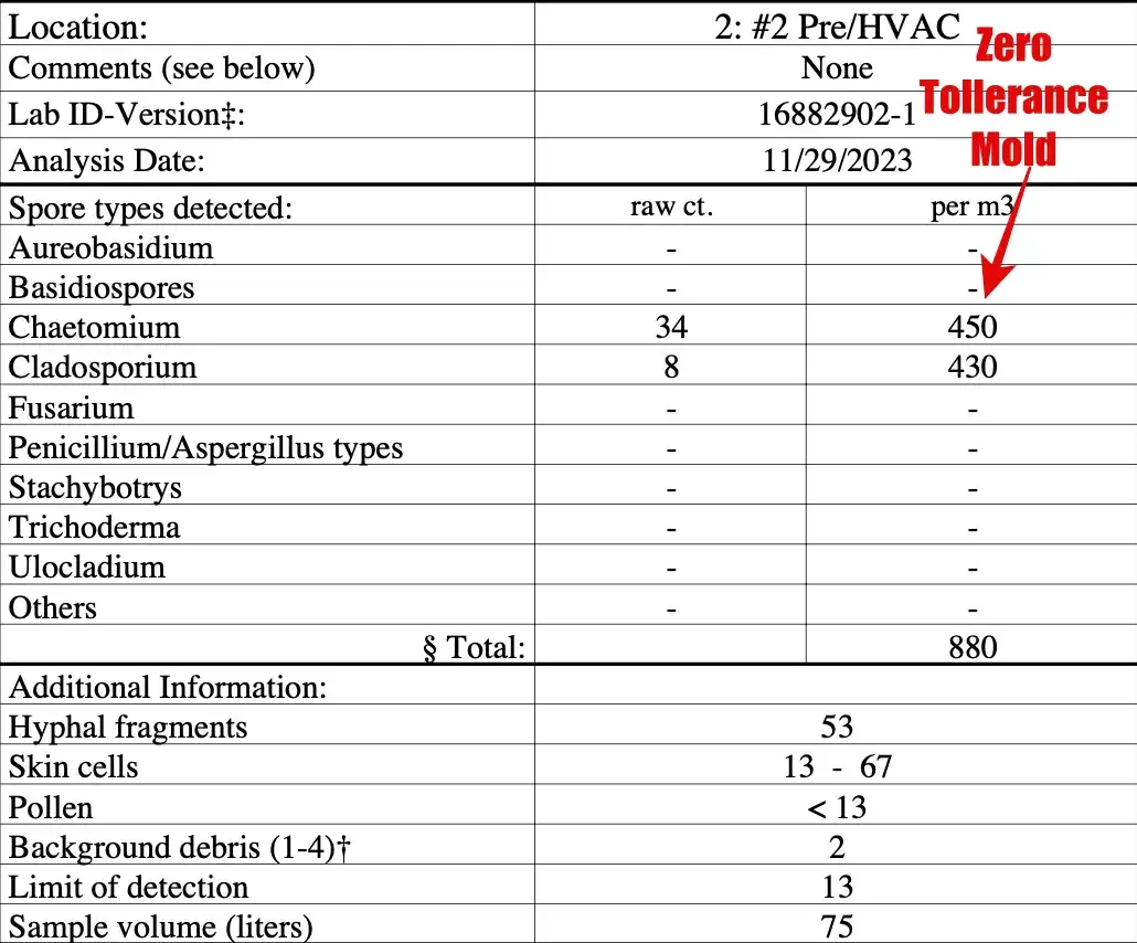 Mold Remediation: Why UV lights Don't Work