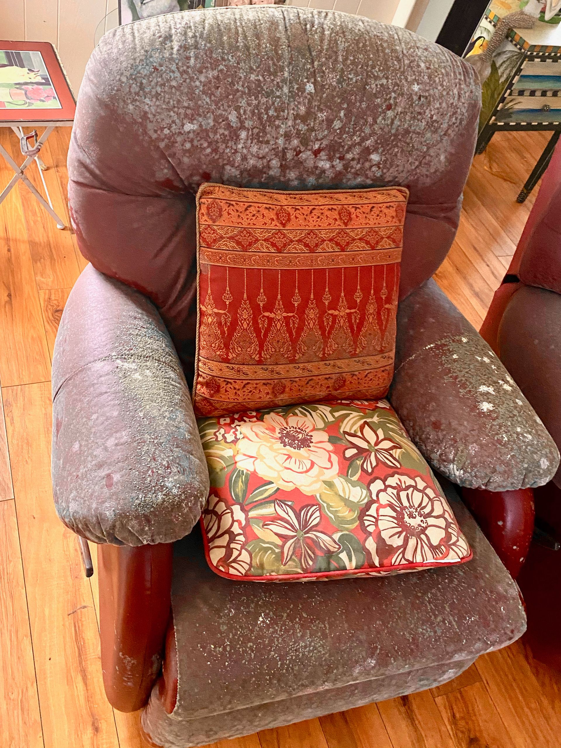 Mold Prevention Tips for Florida Vacation Homes