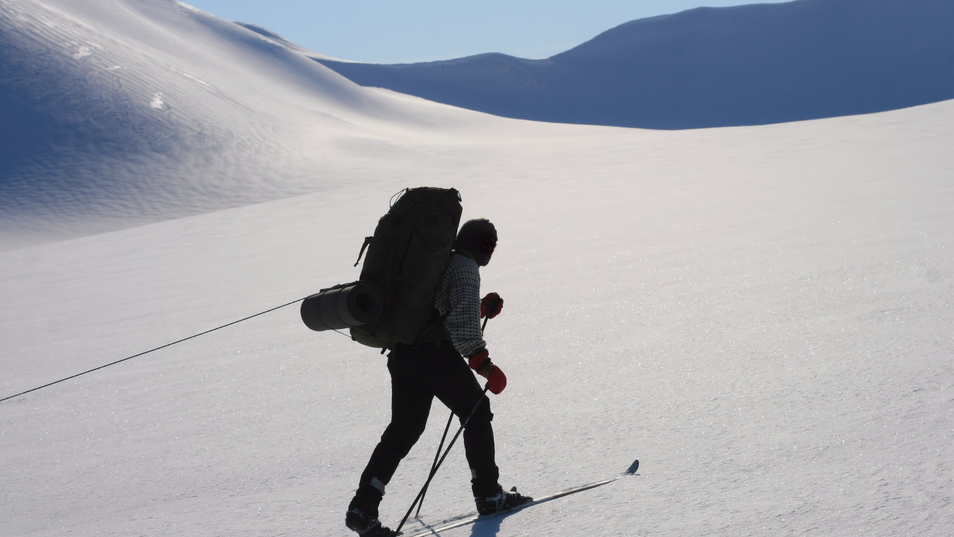 Svalbard: Interesting Facts and Highlights in July