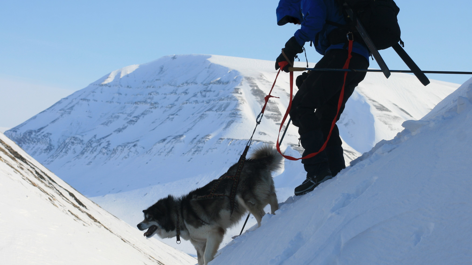 October in Svalbard: Embracing Arctic Silence and Snow-Dusted Peaks