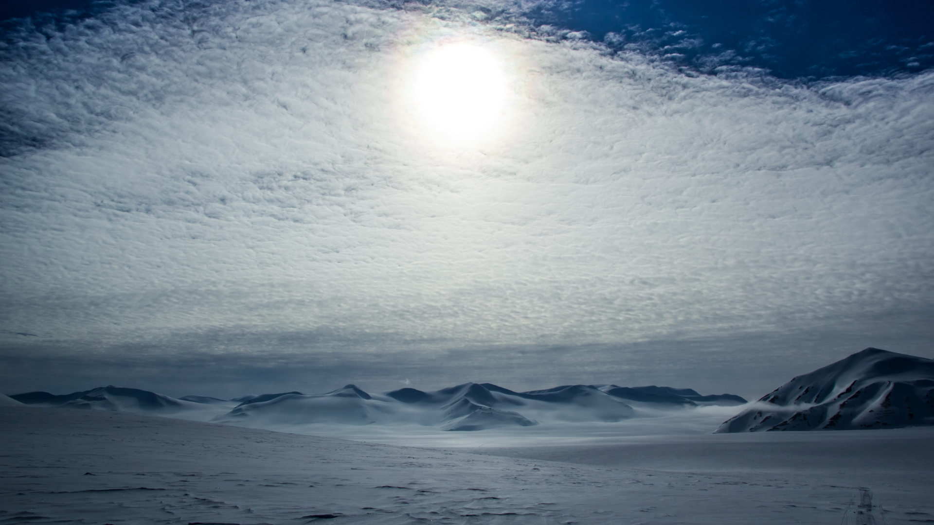What You Need to Know About Svalbard in July
