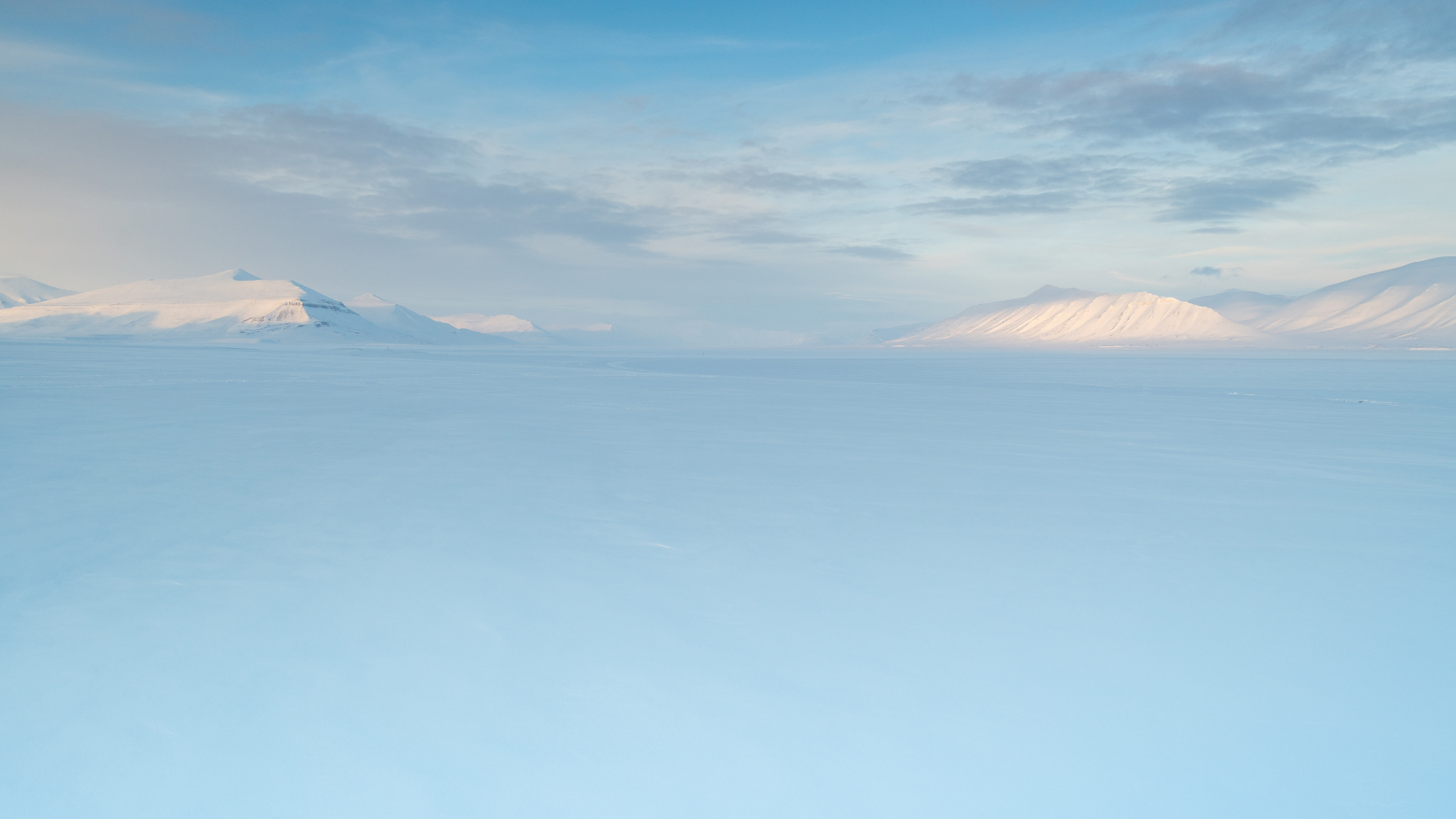 Svalbard: Great Polar Bear Tours to Do in October