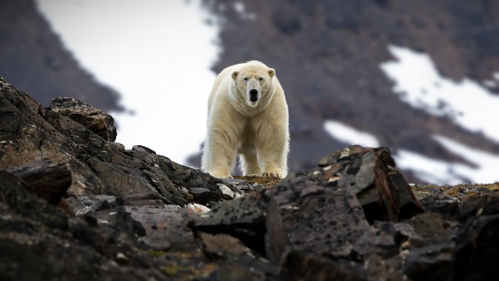 Svalbard: What You Should Do in October