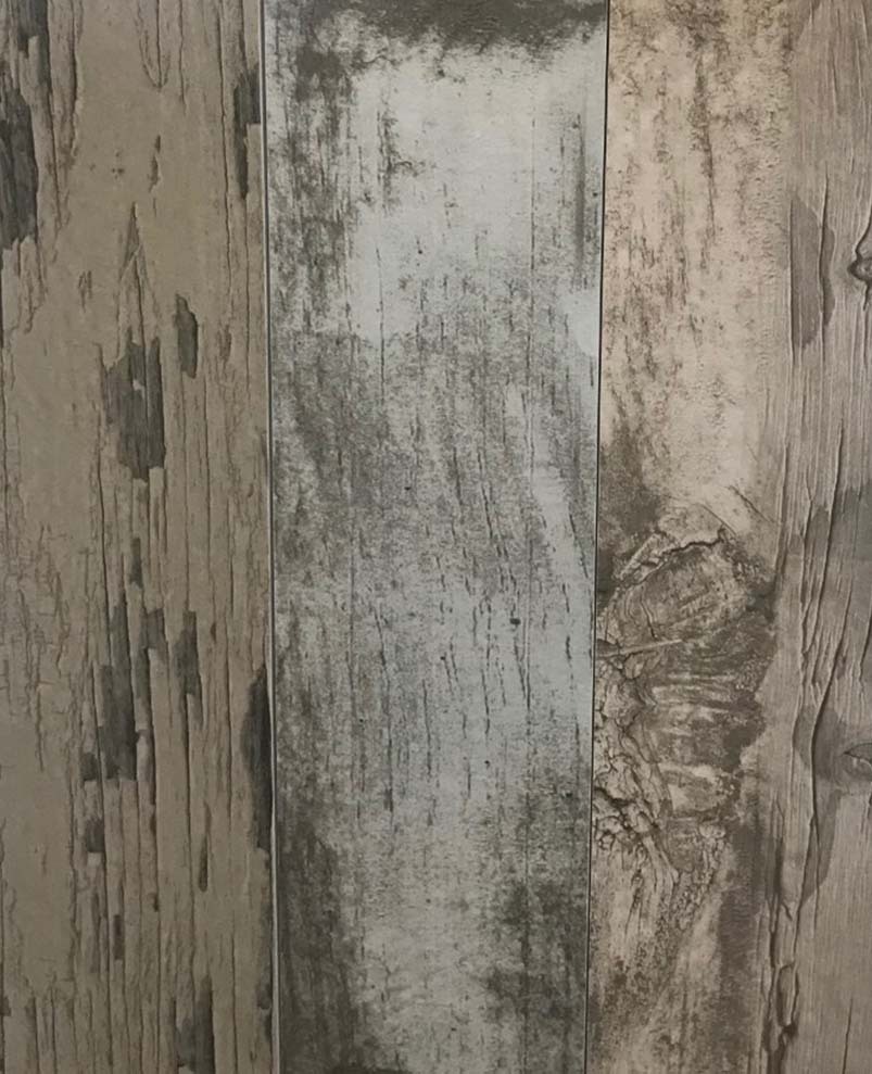 Tile | Counter Culture