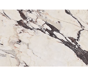 Tile | Counter Culture