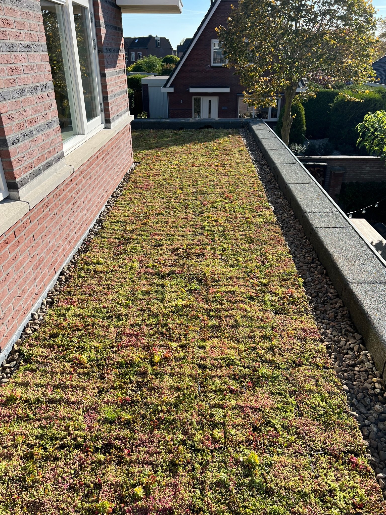 MobiRoof Eco: groen dak