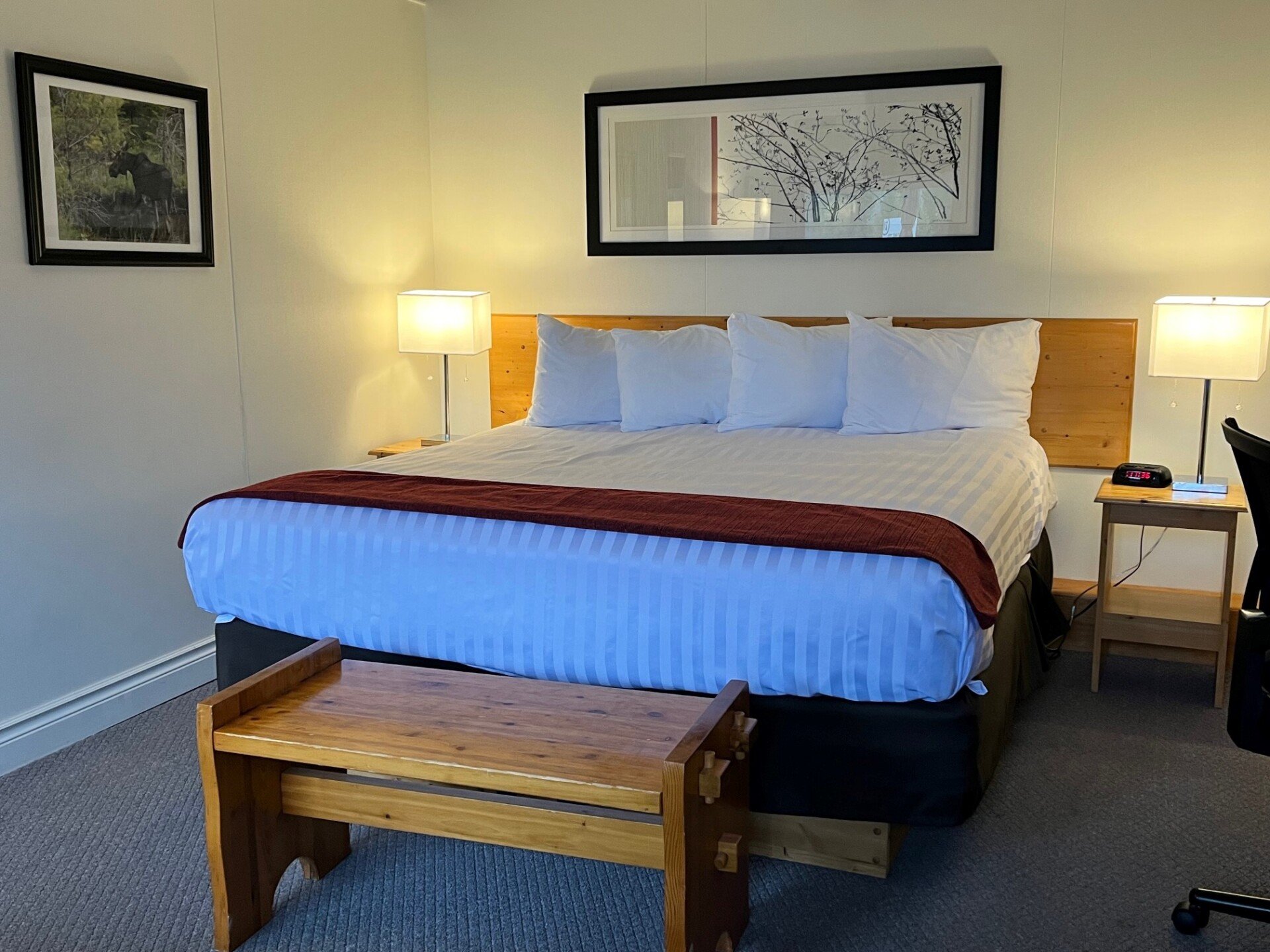 Spacious clean and cozy rooms. Pets allowed.