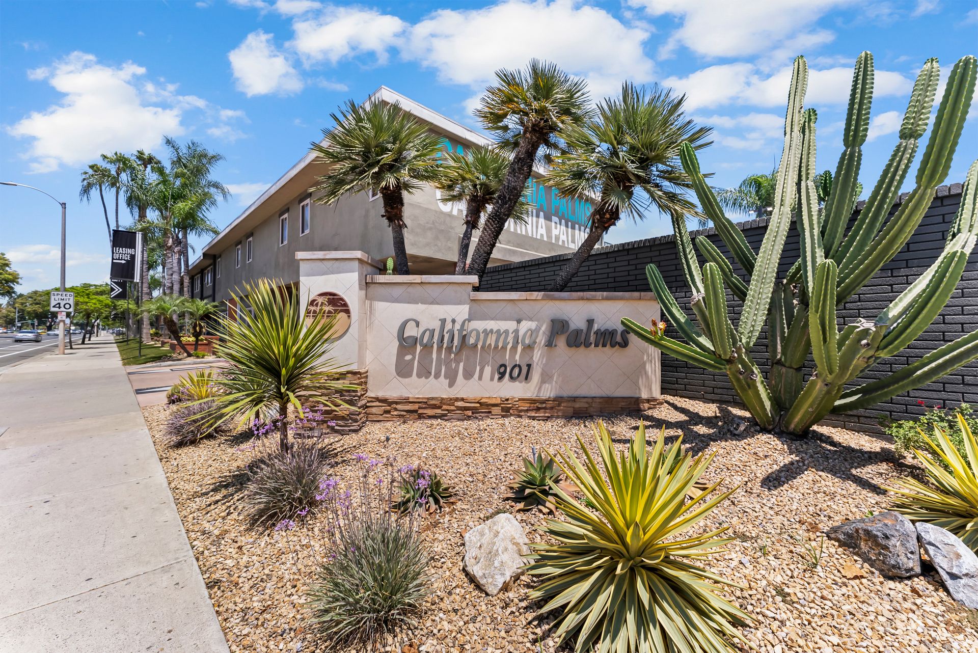 Gallery | California Palms | Santa Ana, CA