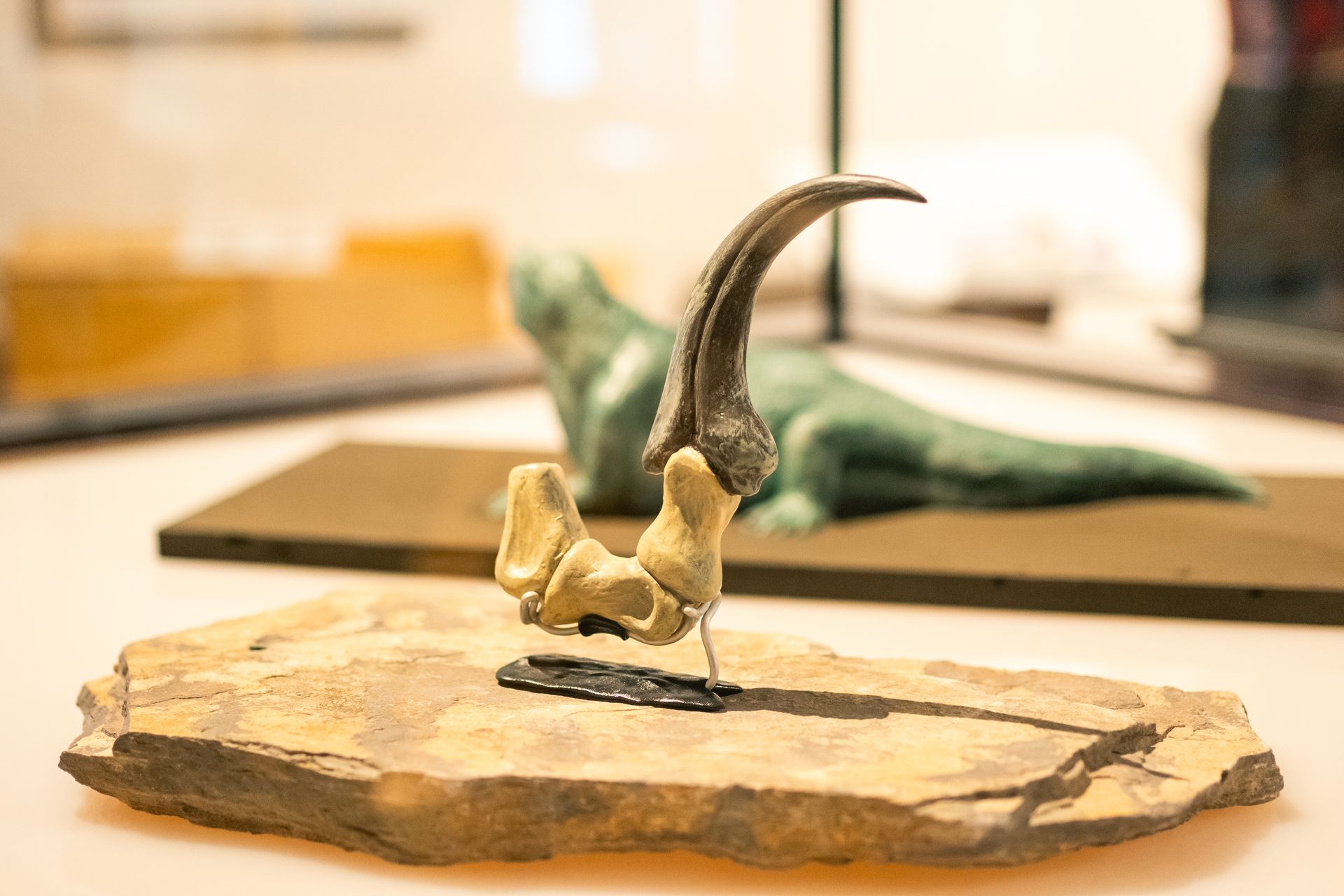 Interactive Exhibits | ScienceWorks | Southern Oregon