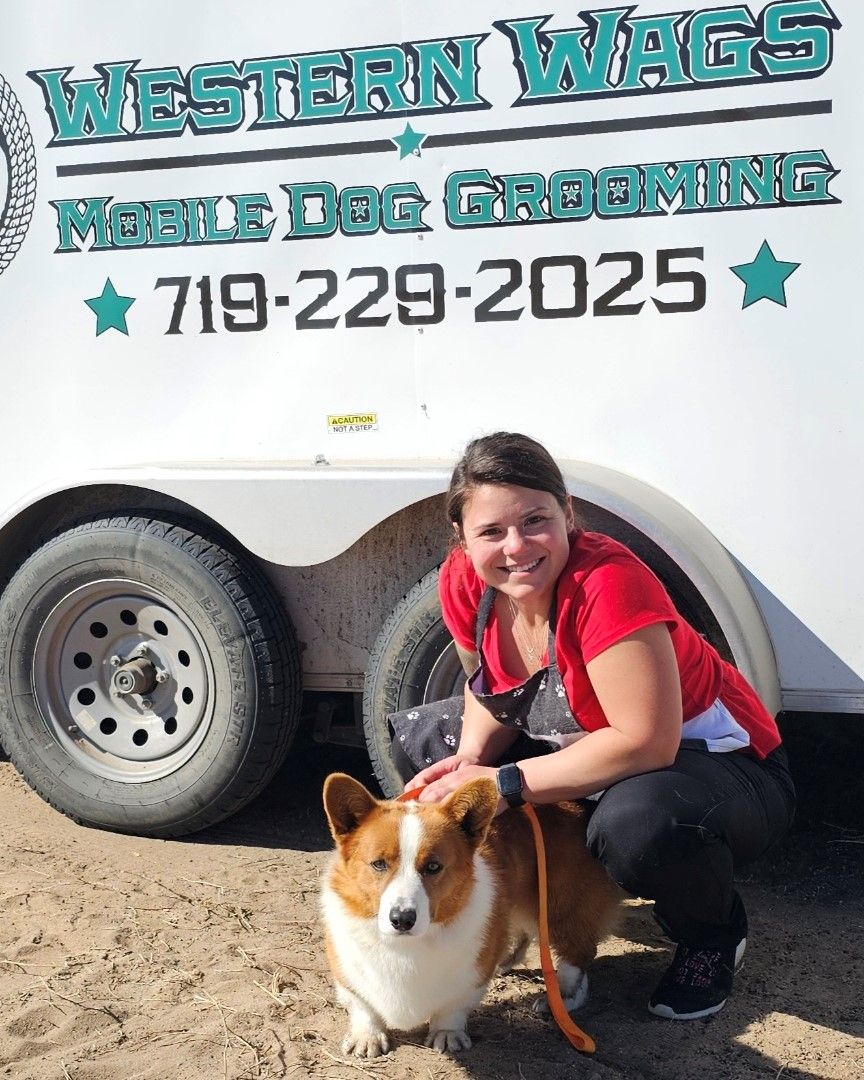 Western Wags Mobile Dog Grooming