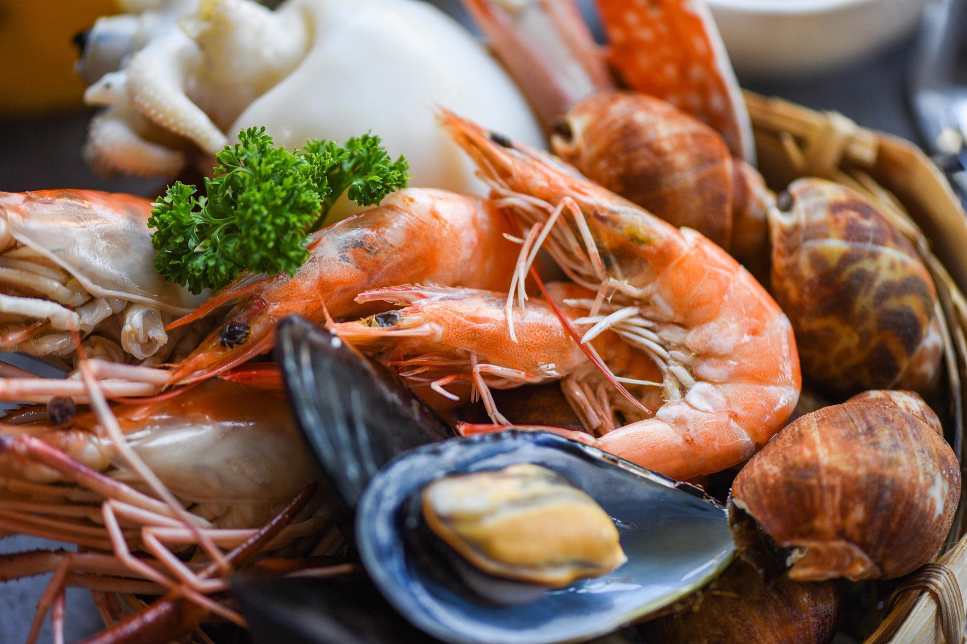 Things To Do | Iluka-Woombah Chamber of Commerce