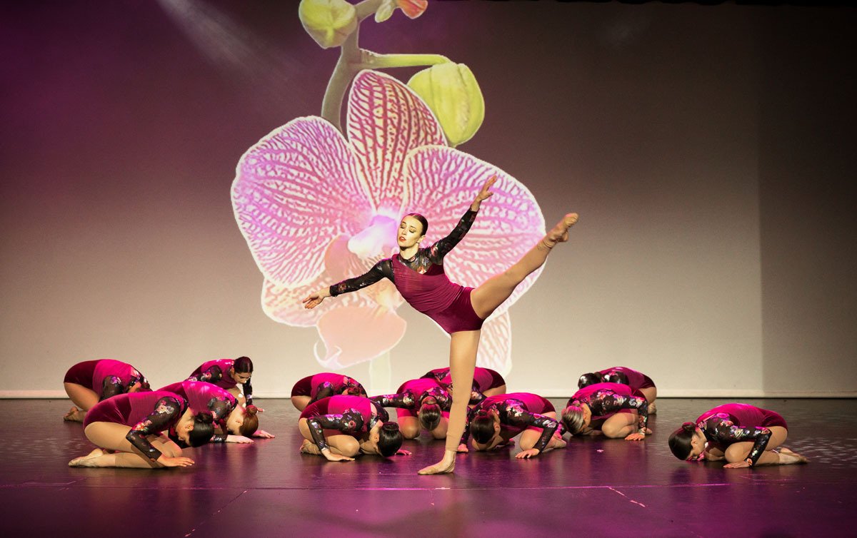 Our Gallery | Studio V School of Dance in Heidelberg