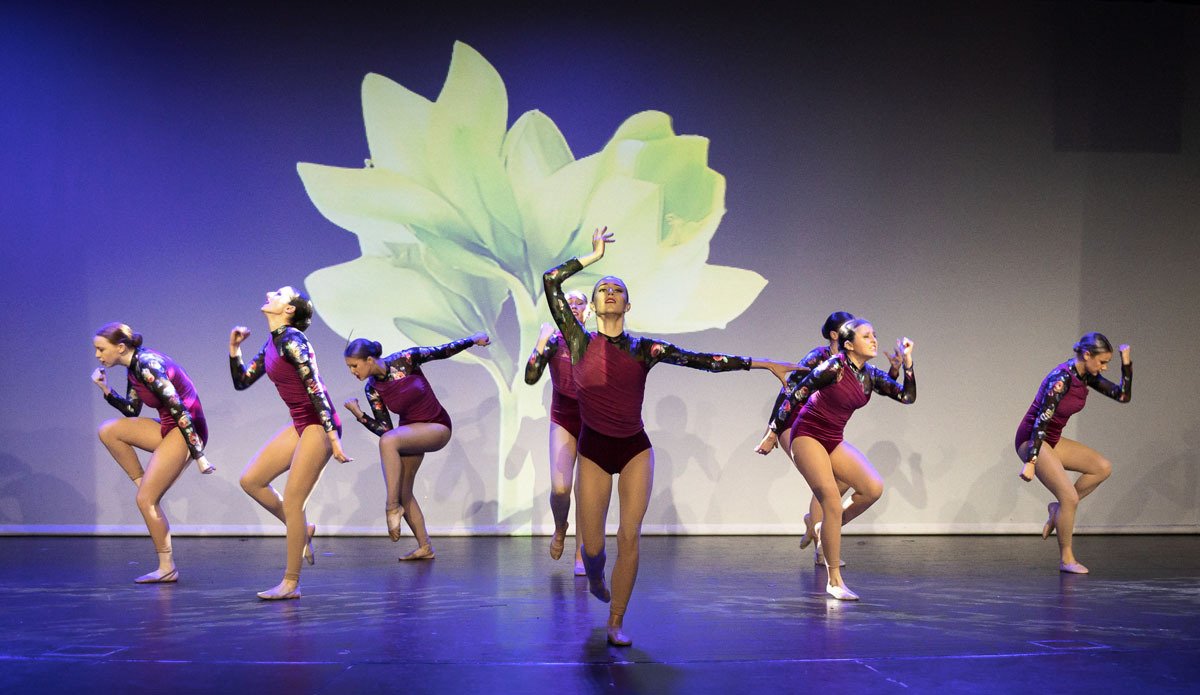 Our Gallery | Studio V School of Dance in Heidelberg