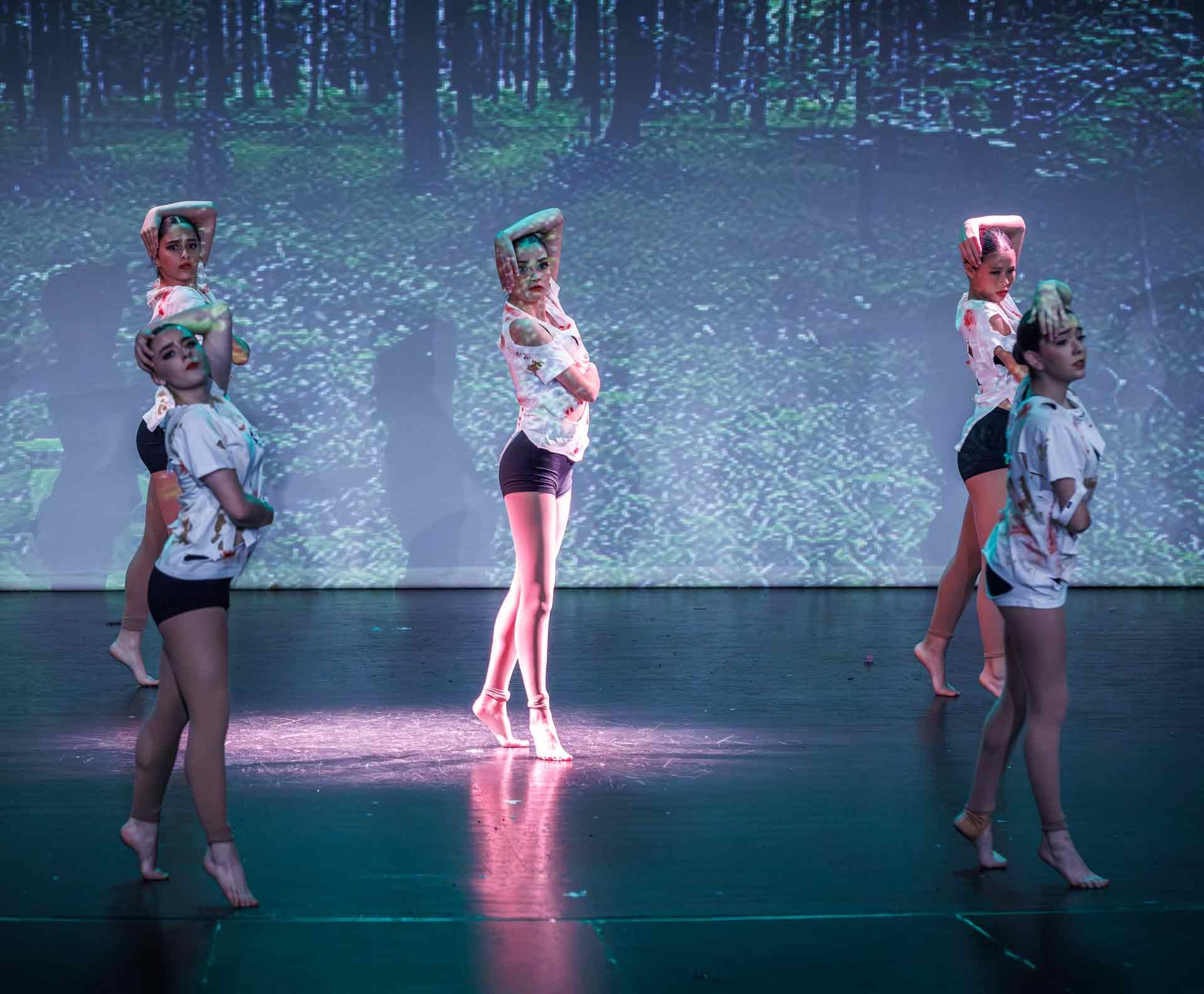 Our Gallery | Studio V School of Dance in Heidelberg