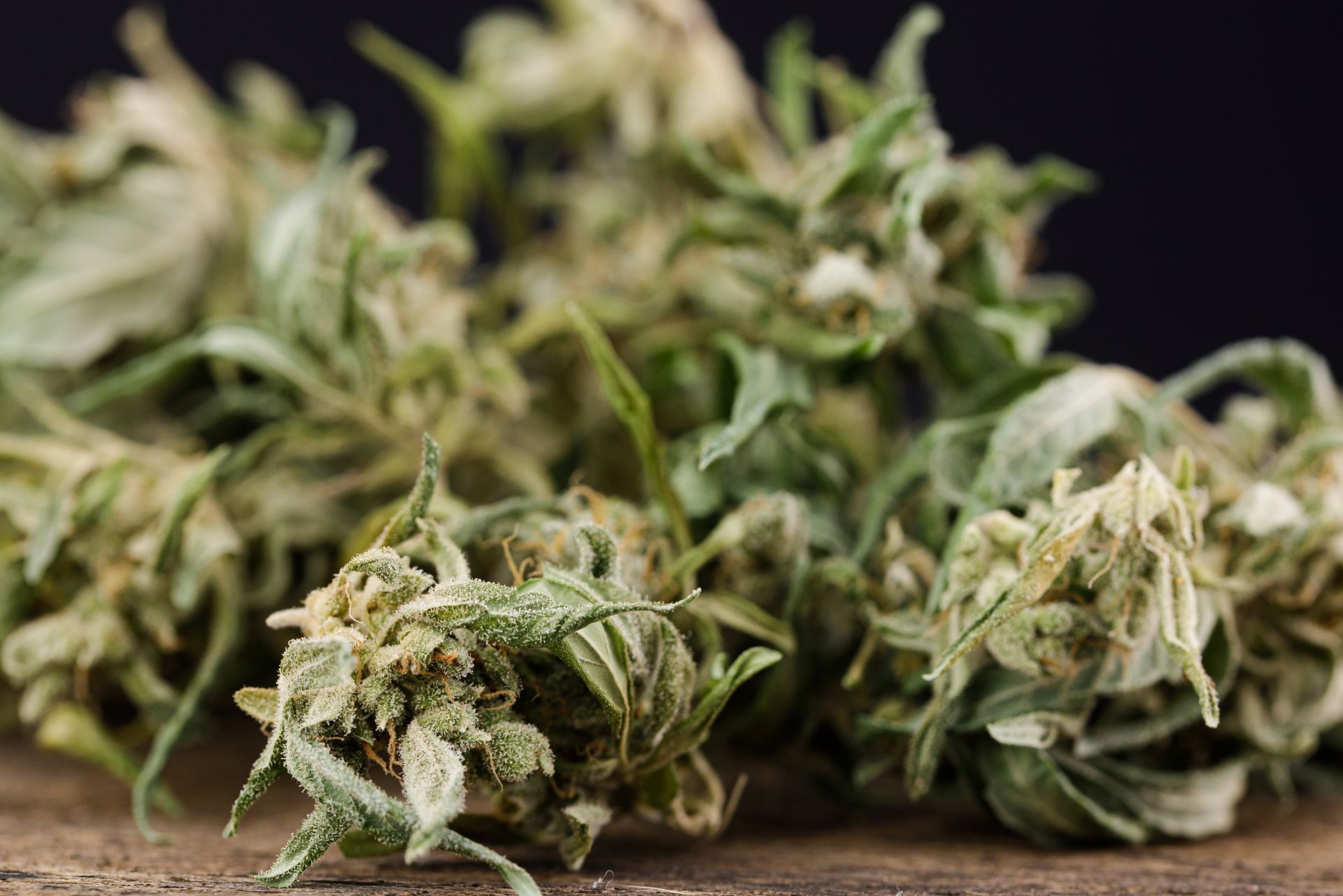 Alaska Cannabis Insurance (Start Your Quote)