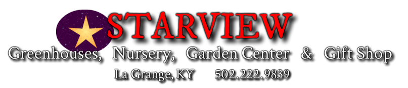 Visiting Starview Greenhouses | Unique Shopping Experience