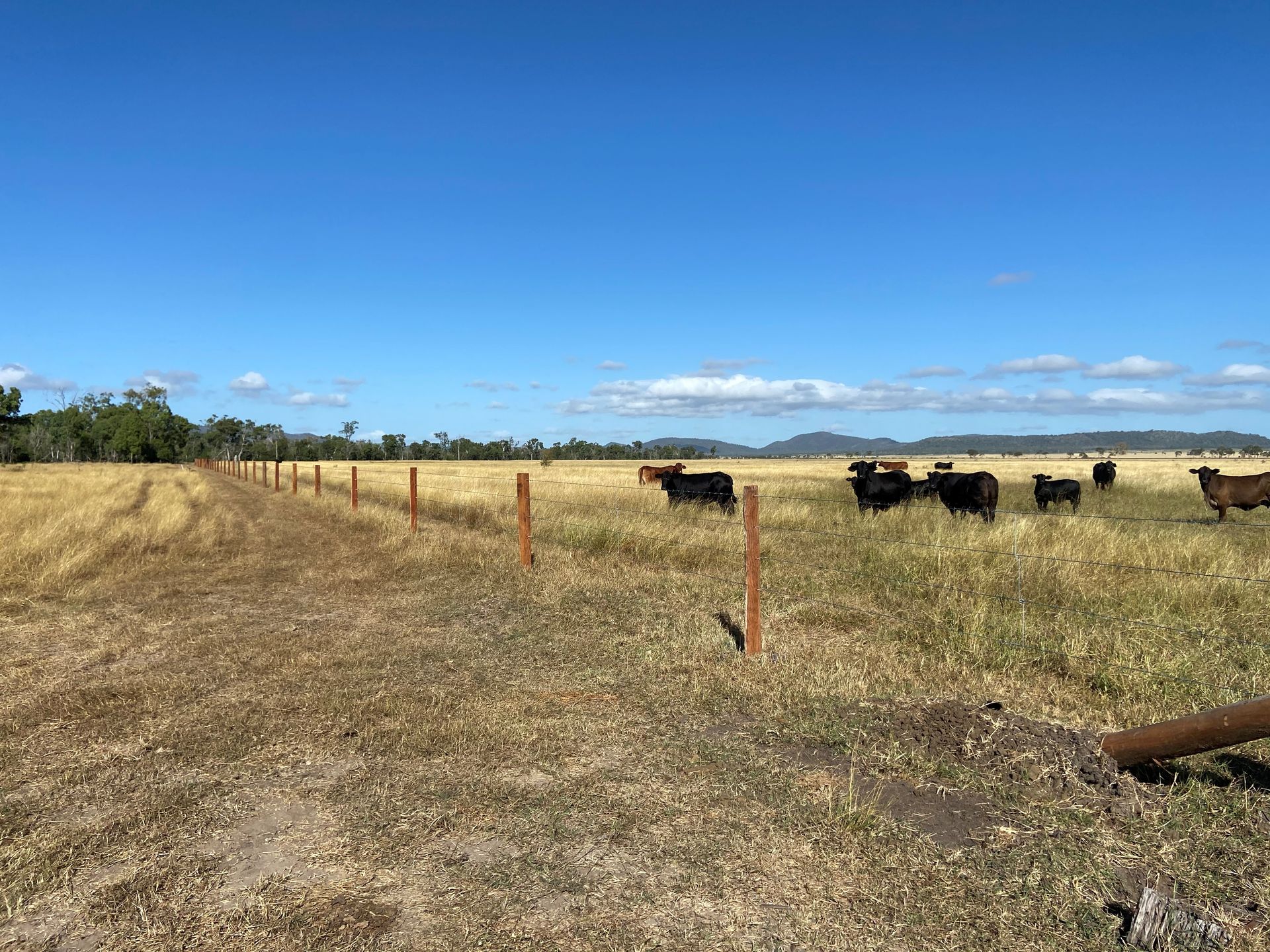 Rural Fencing & Livestock Handling Equipment QLD