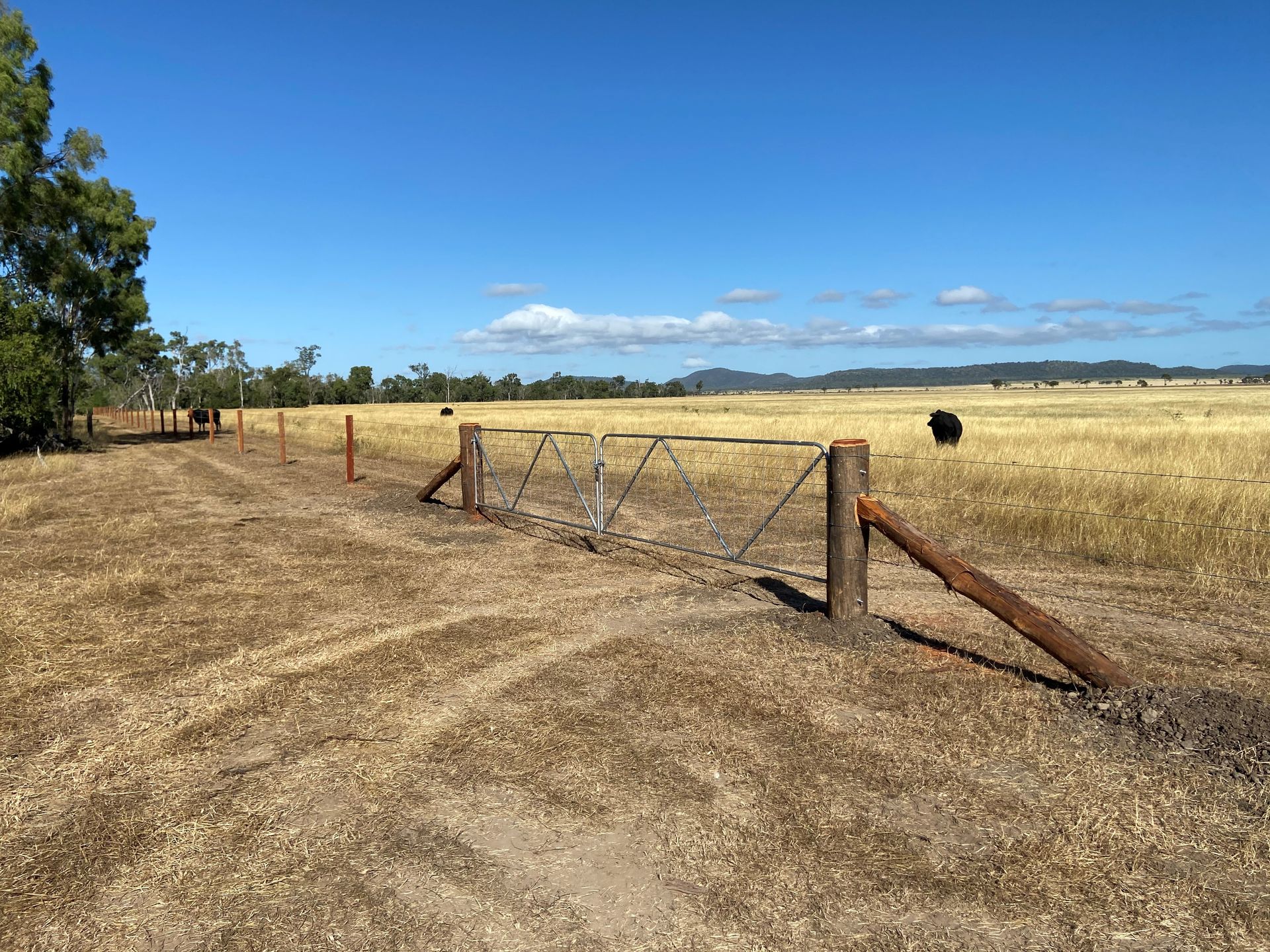 Rural Fencing & Livestock Handling Equipment QLD