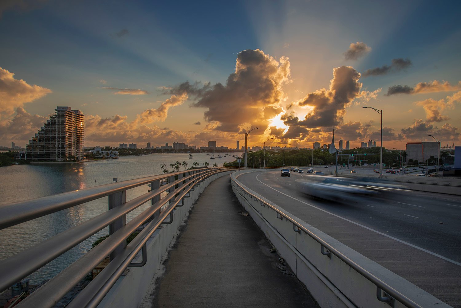 Vehicle Services | Miami, FL | BAUMGARDNER AUTO TAG AGENCY, INC.