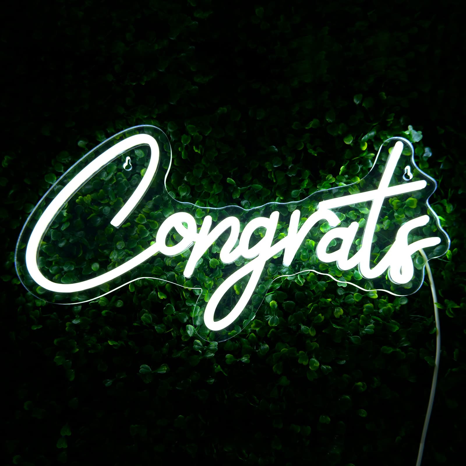 Elegant Balloon Backdrops Fort Worth | Photo Walls