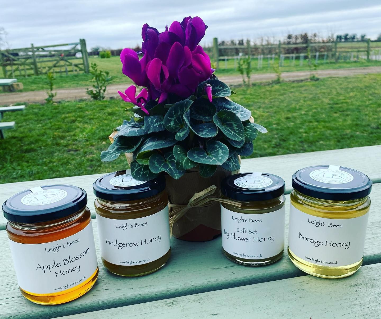 Eves Hill Farm - Norwich, Norfolk - Gallery