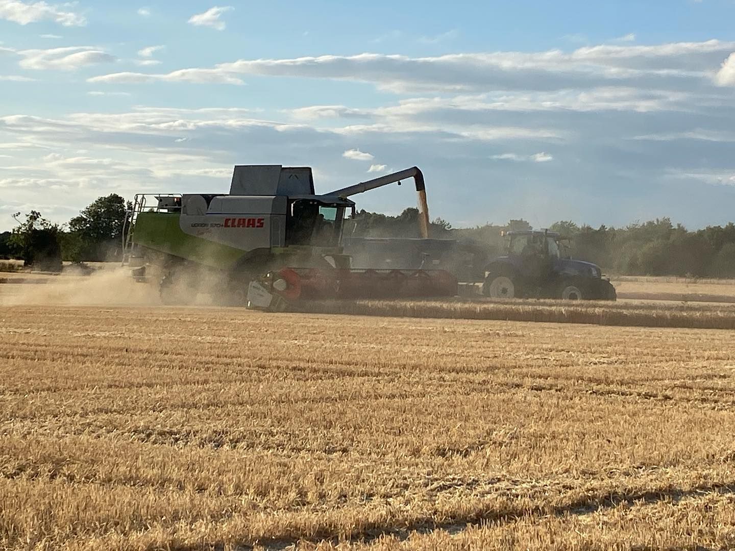 Eves Hill Farm - Norwich, Norfolk - Our Farm