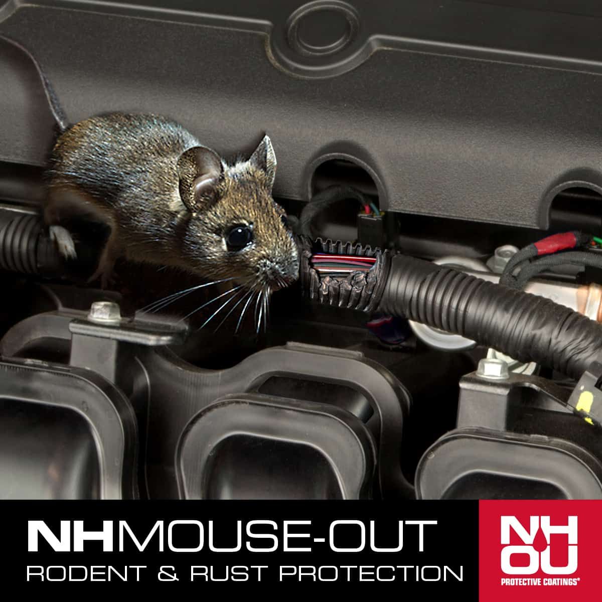 How To Keep Mice Out Of Your Camper: Expert Tips!